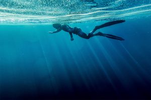 Why Humans Swim: A Cultural and Evolutionary Dive Into the Water ...